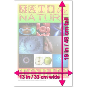 Math in Nature Classroom Math Poster: Torus, Educational Wall Art for ...