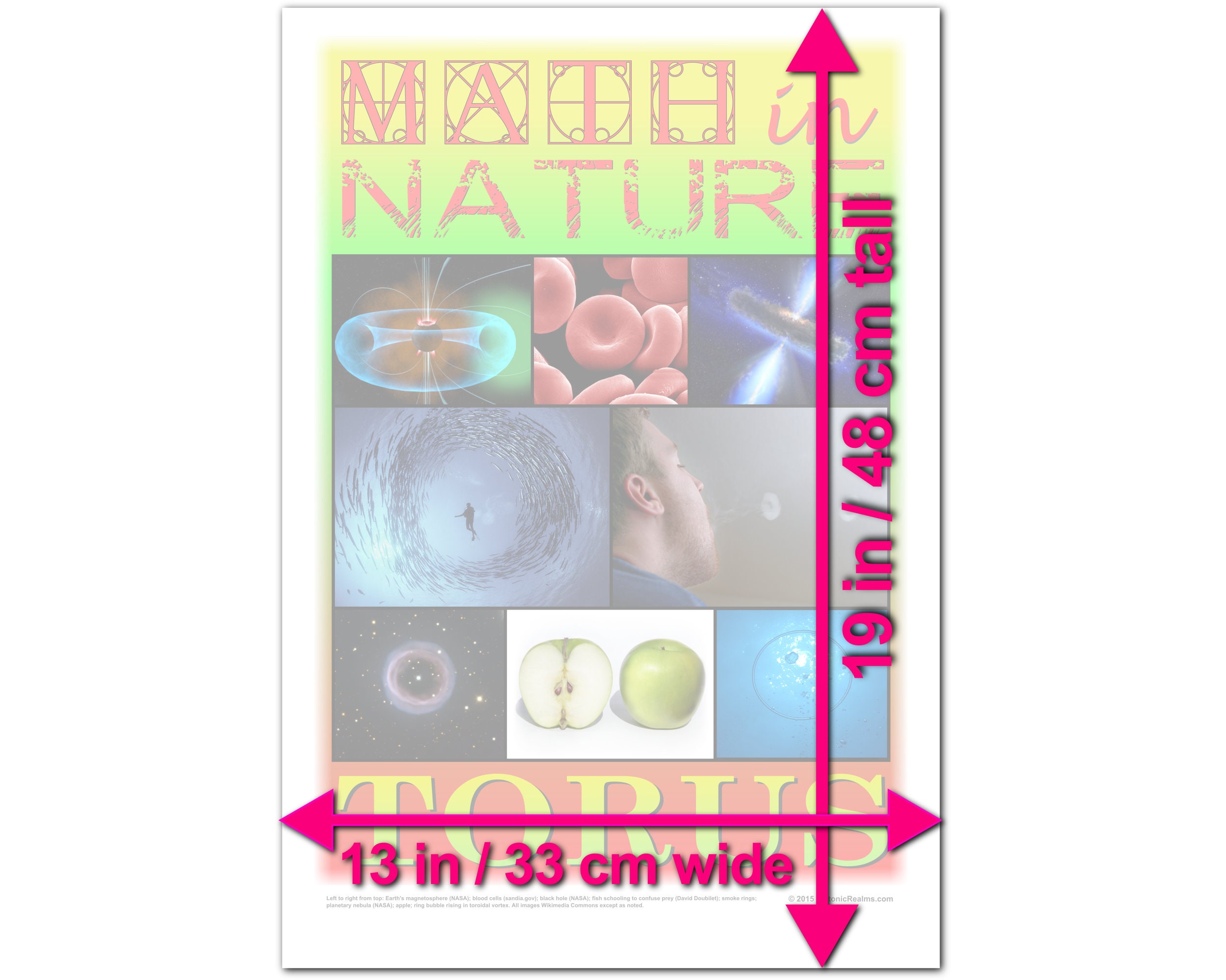 Math in Nature Classroom Math Poster: Torus, Educational Wall Art for ...