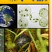 Math in Nature Classroom Math Poster: Sphere, Educational for Middle ...