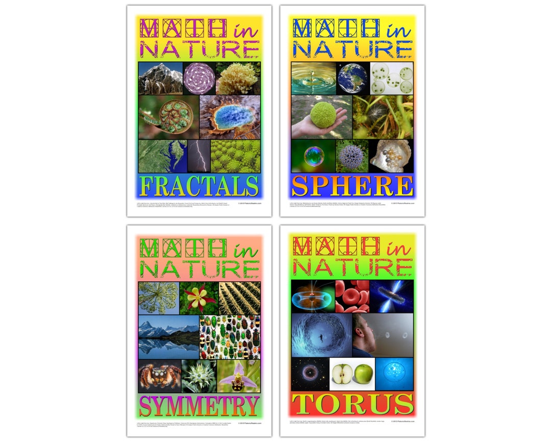 Math in Nature Set of 4 Classroom Math Posters: Fractals, Sphere ...
