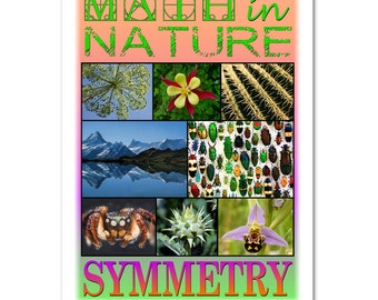 Math in Nature Classroom Poster: Torus | Etsy