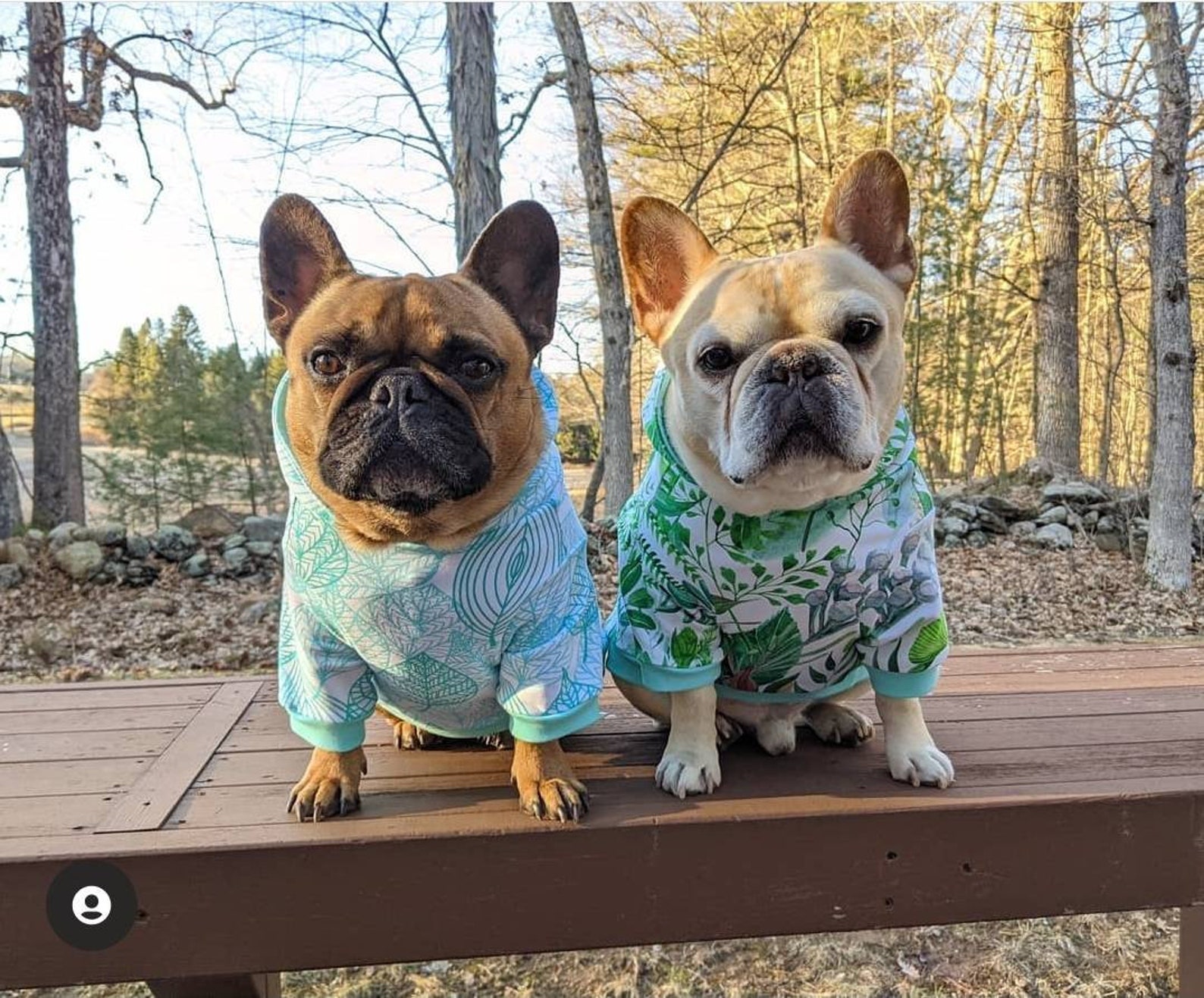 Handmade Dog Hoodie clothes for Small Size Dogs Dog Sweater - Etsy