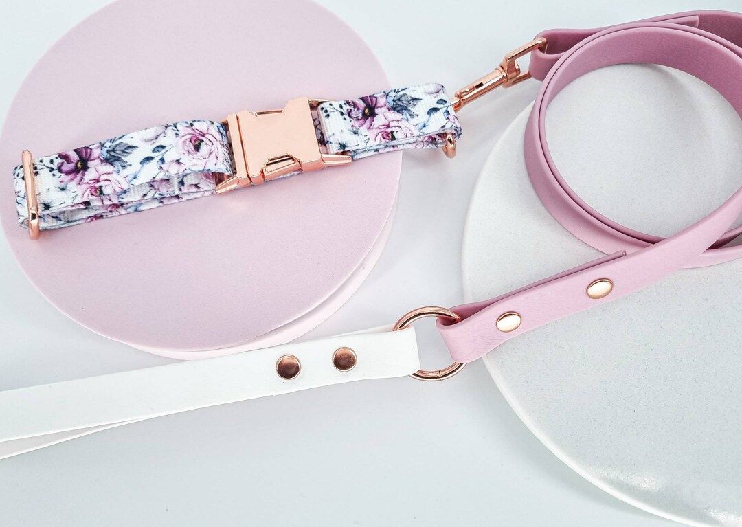 Dog Walk Set Dog Collar and Leash Pet Walk Set - Etsy