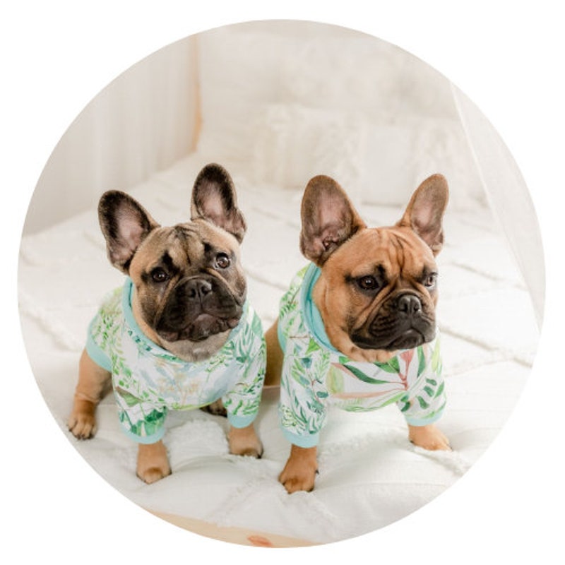 French Bulldog Clothing for Dog - Etsy