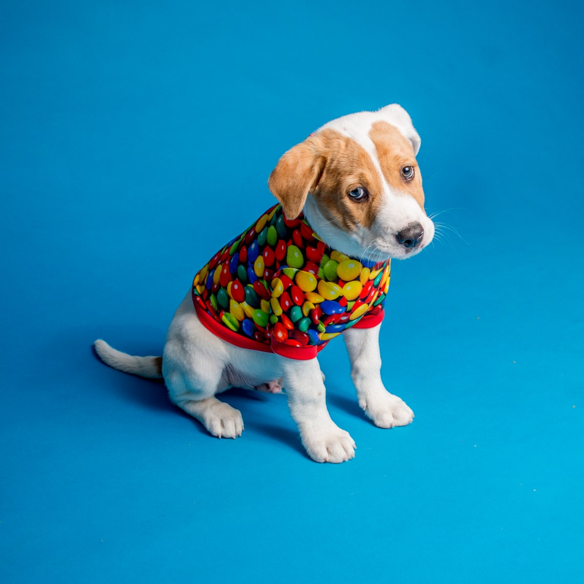 Handmade Dog Hoodie clothes for small size dogs dog sweater | Etsy