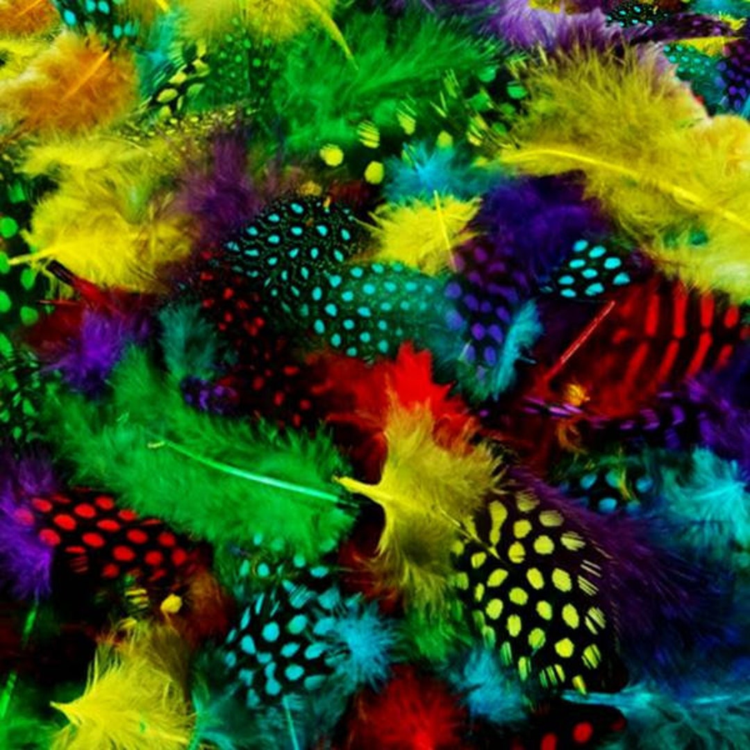 Spotted Colour Feathers Assorted Colours 14g - Etsy UK