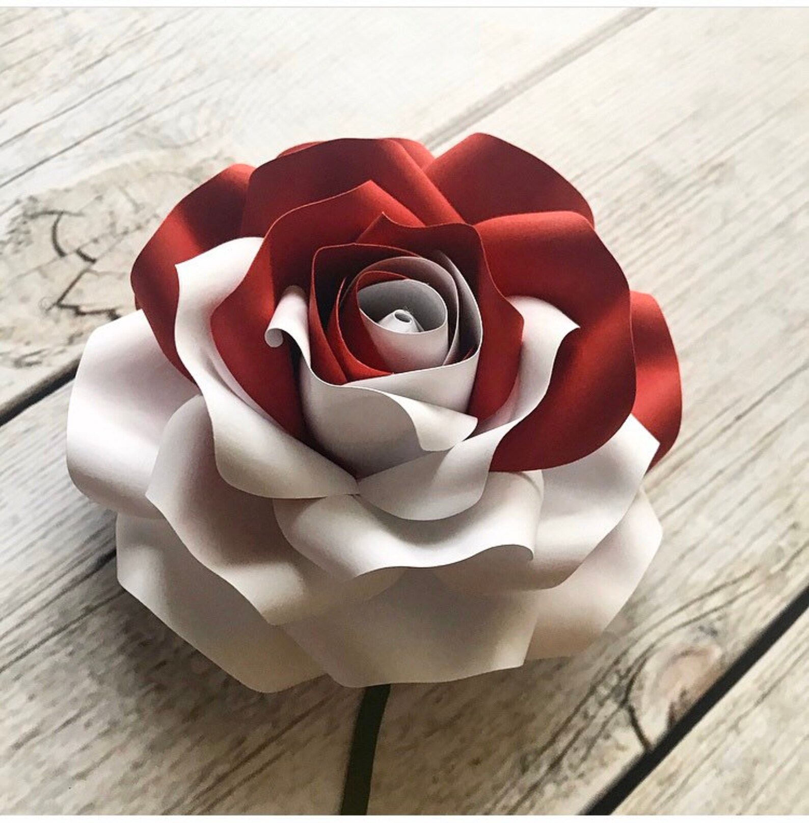 Two-tone Paper Roses | Handmade Alice in Wonderland Party Decor - Etsy