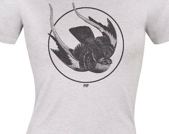 Great Eared Nightjar - Etsy