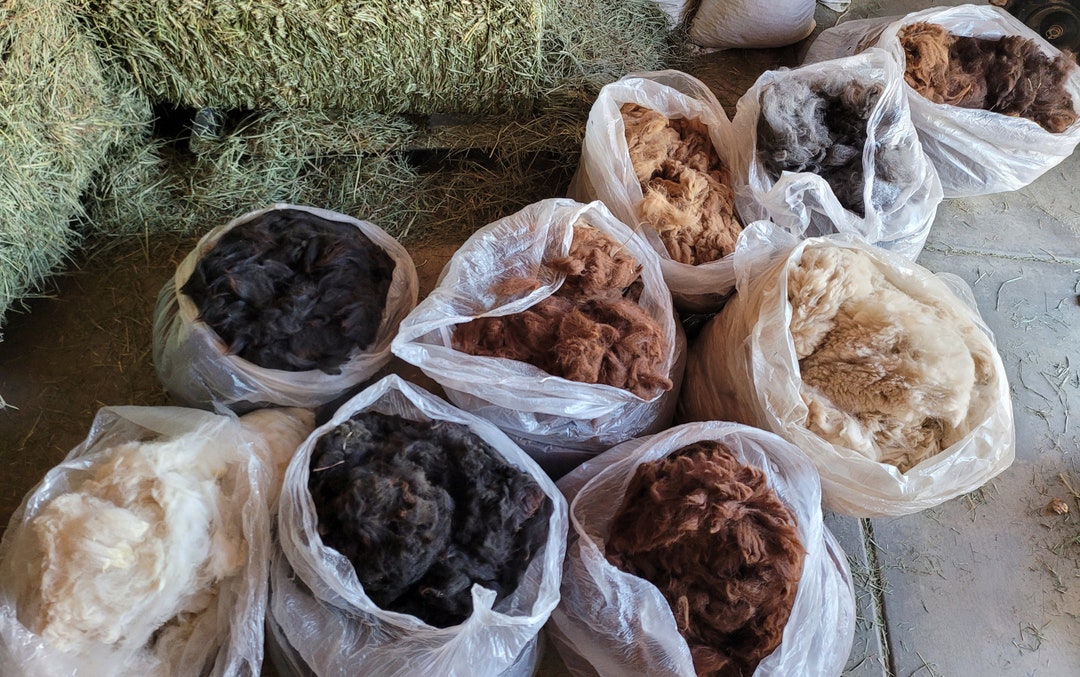 Raw Alpaca Fiber Blanket 1sts - Etsy