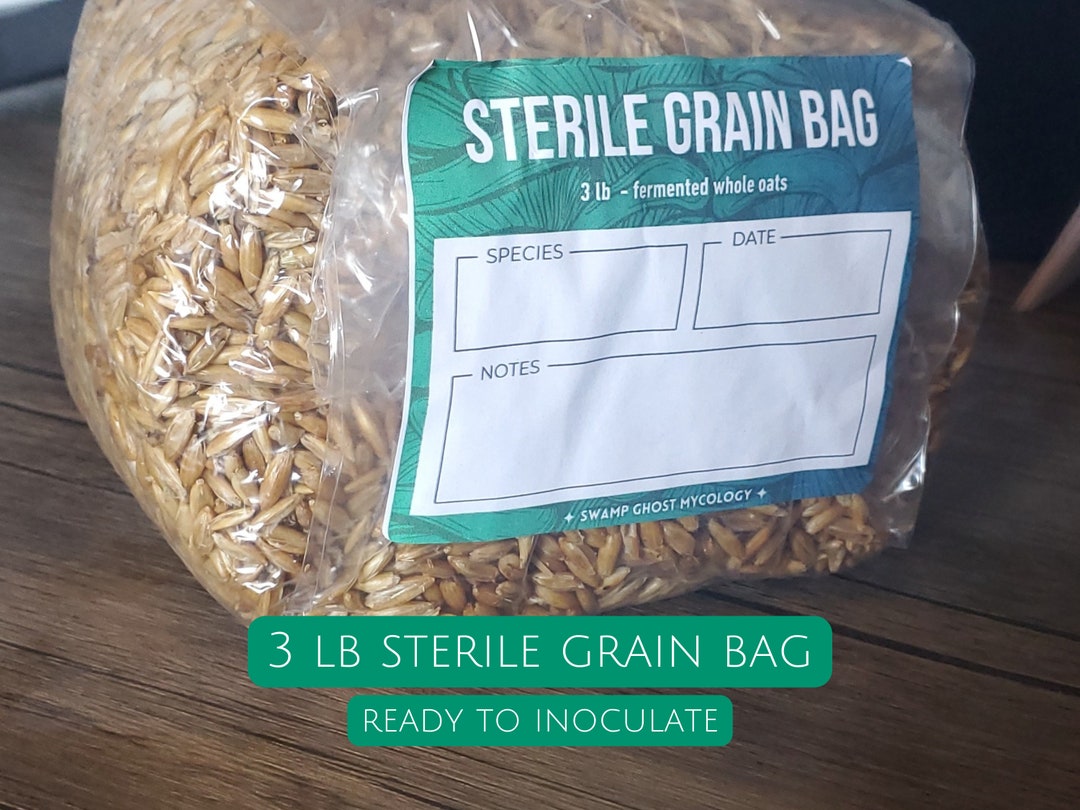 Oat Grain Spawn Bag, 3 Lb, Fermented Oats Make Nutrients More ...