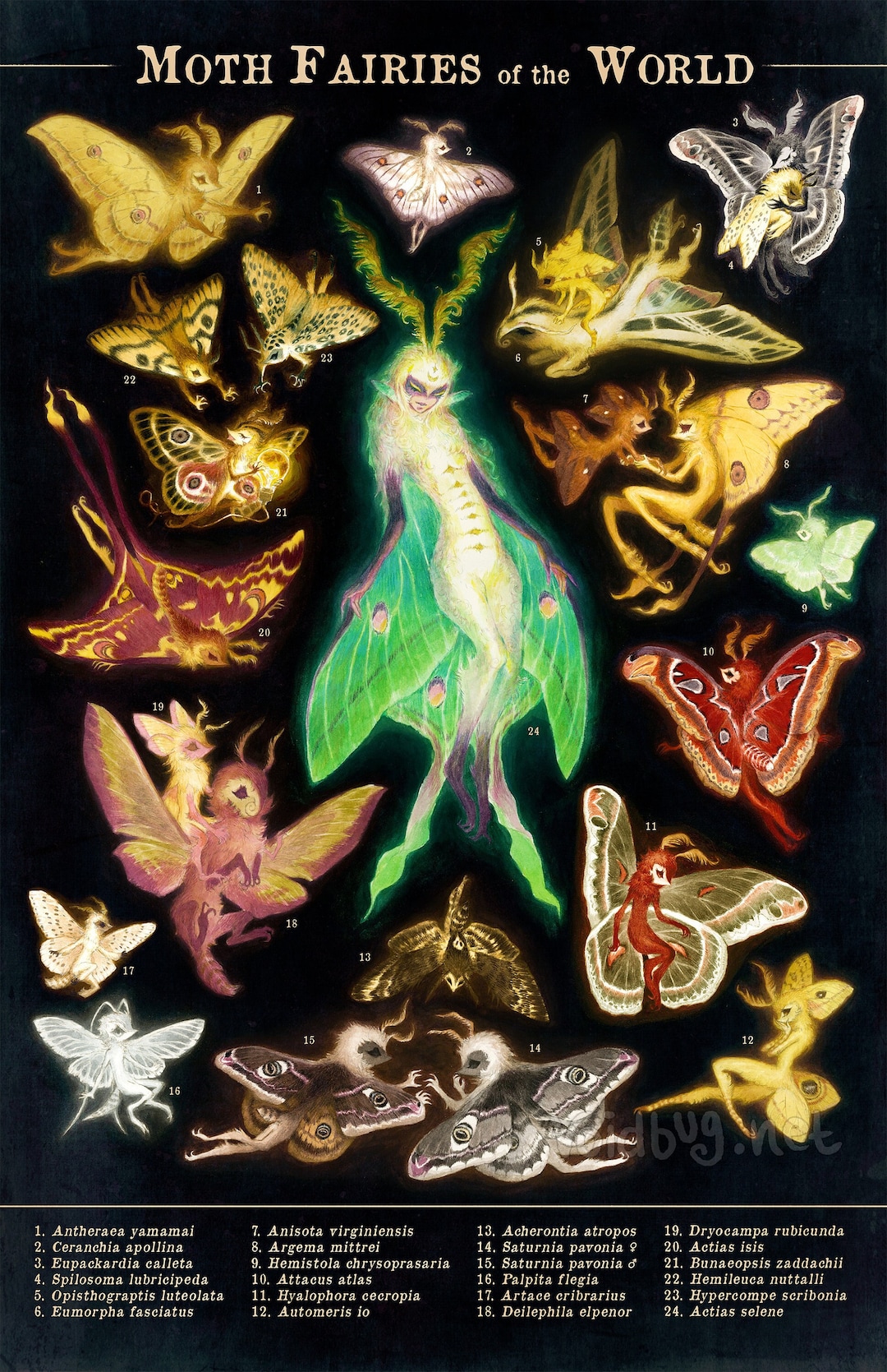 Moth Fairies of the World | Scientific Insect Lepidoptera Fantasy ...