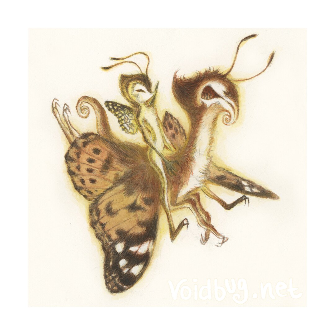 Fae Rider | Insect Fantasy Creature Design Illustration Print | 9x9 ...