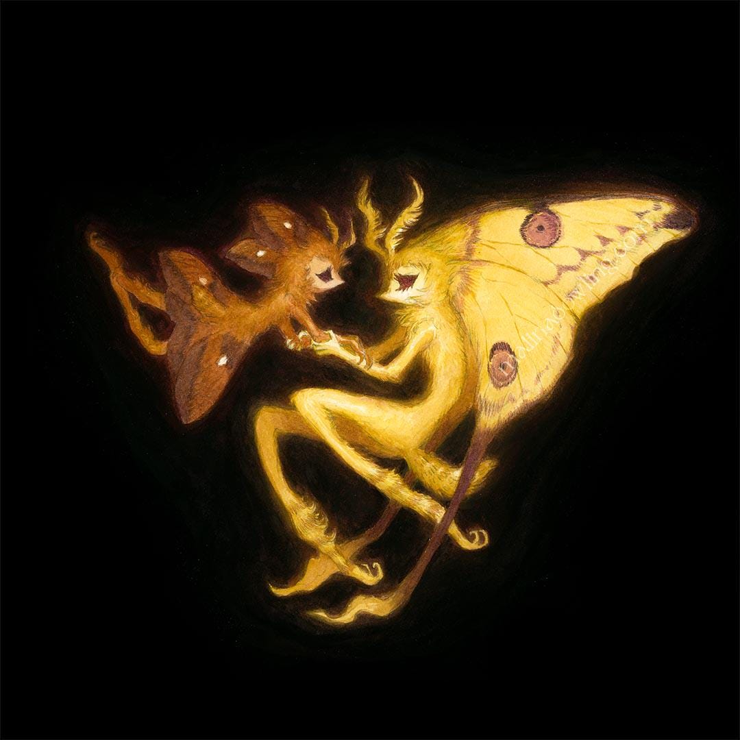 The Dancers | Moth Insect Bug Sprites | Fantasy Nature Art | Nostalgic ...