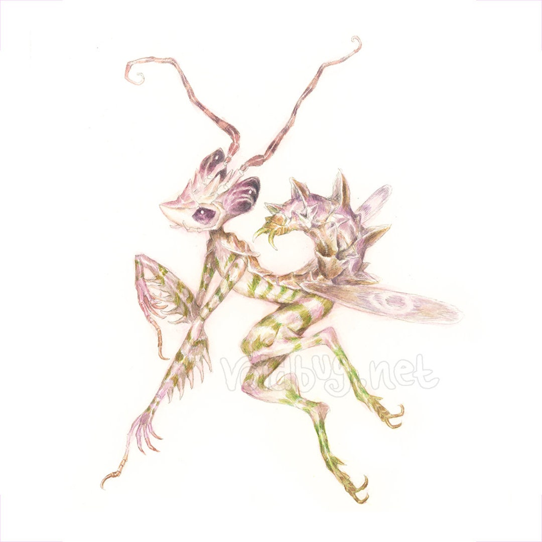 Spiny Flower Nymph Fae Art Print | 9x9 Inches | - Etsy