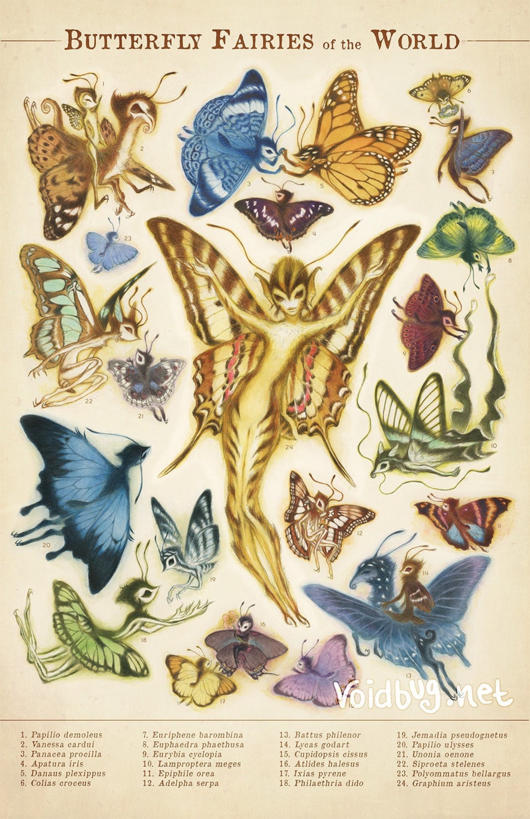 Butterfly Fairies of the World | Scientific Fantasy Fae Vintage Species ...