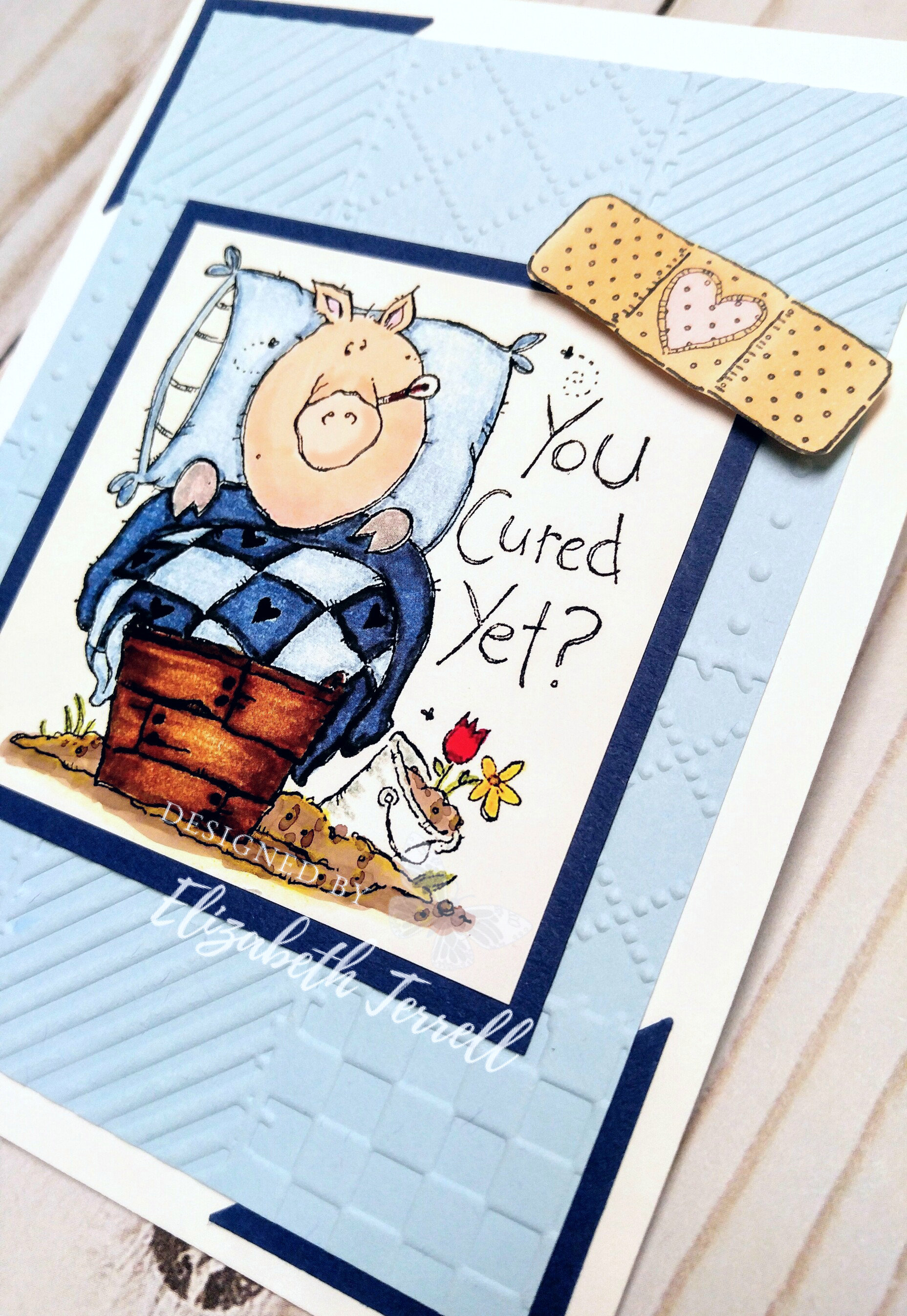 Get Well Card Stampin up Kit Farm Fever Pig Quilt Happy Healing Wishes ...