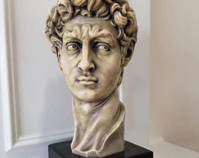 Marwal Statue - Bust of Michelangelo's David Statue - Etsy