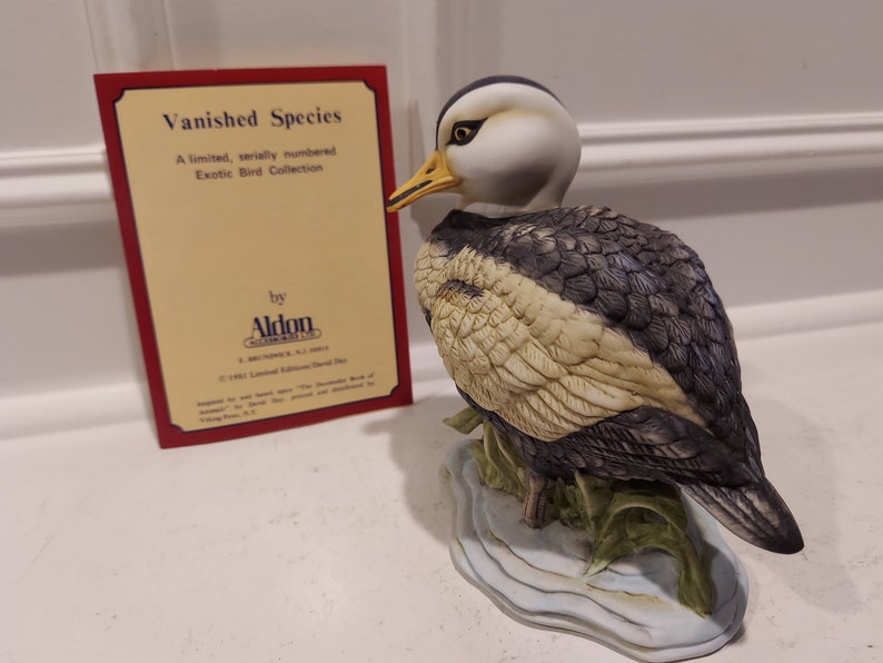 Vanished Species Porcelain Labrador Duck Limited Serially - Etsy