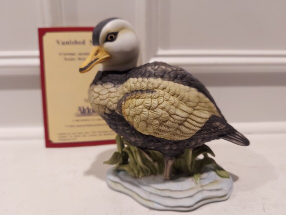 Vanished Species Porcelain Labrador Duck Limited Serially - Etsy