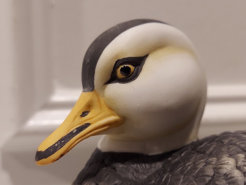 Vanished Species Porcelain Labrador Duck Limited Serially - Etsy