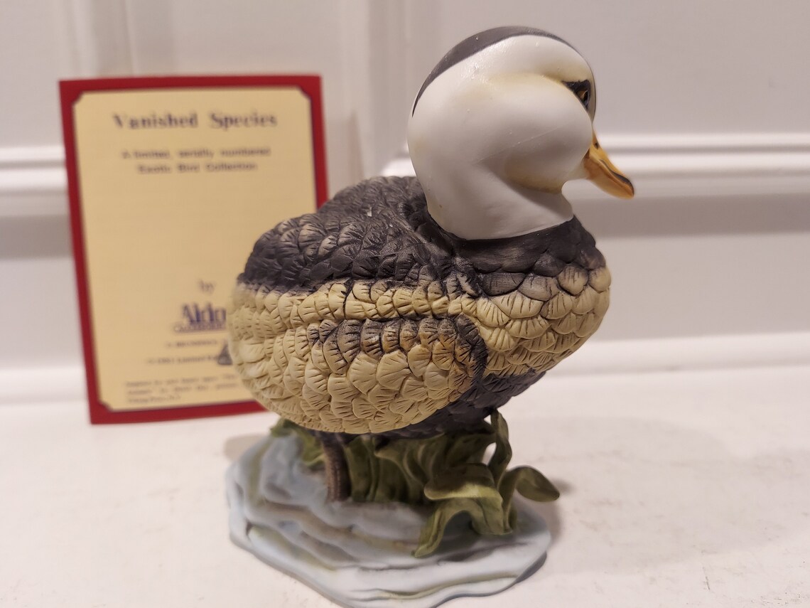 Vanished Species Porcelain Labrador Duck Limited Serially - Etsy