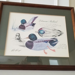 Delaware Mallard Ducks Lithography - Bob Berry - Signed by Artist - Etsy