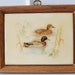Collectible Tiles With Wood Frame Duck Design Set of 2 Made by Kimberly ...