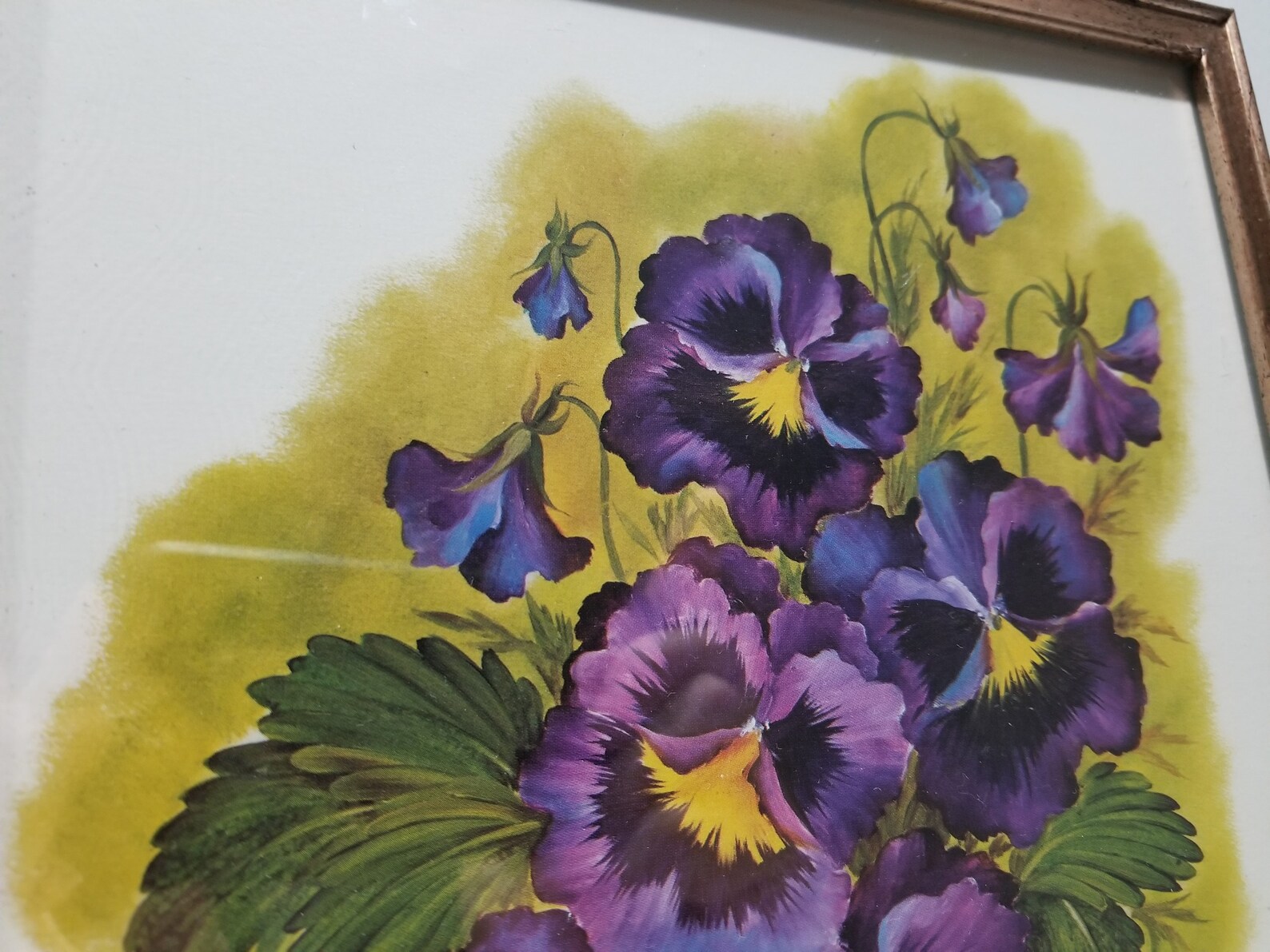Pansy Framed Print Signed Print | Etsy