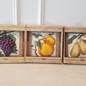 Fruits Ceramic Tiles Wall Plaque High Level of Details Set of 3 Apples ...