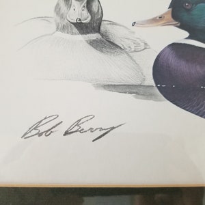 Delaware Mallard Ducks Lithography - Bob Berry - Signed by Artist - Etsy