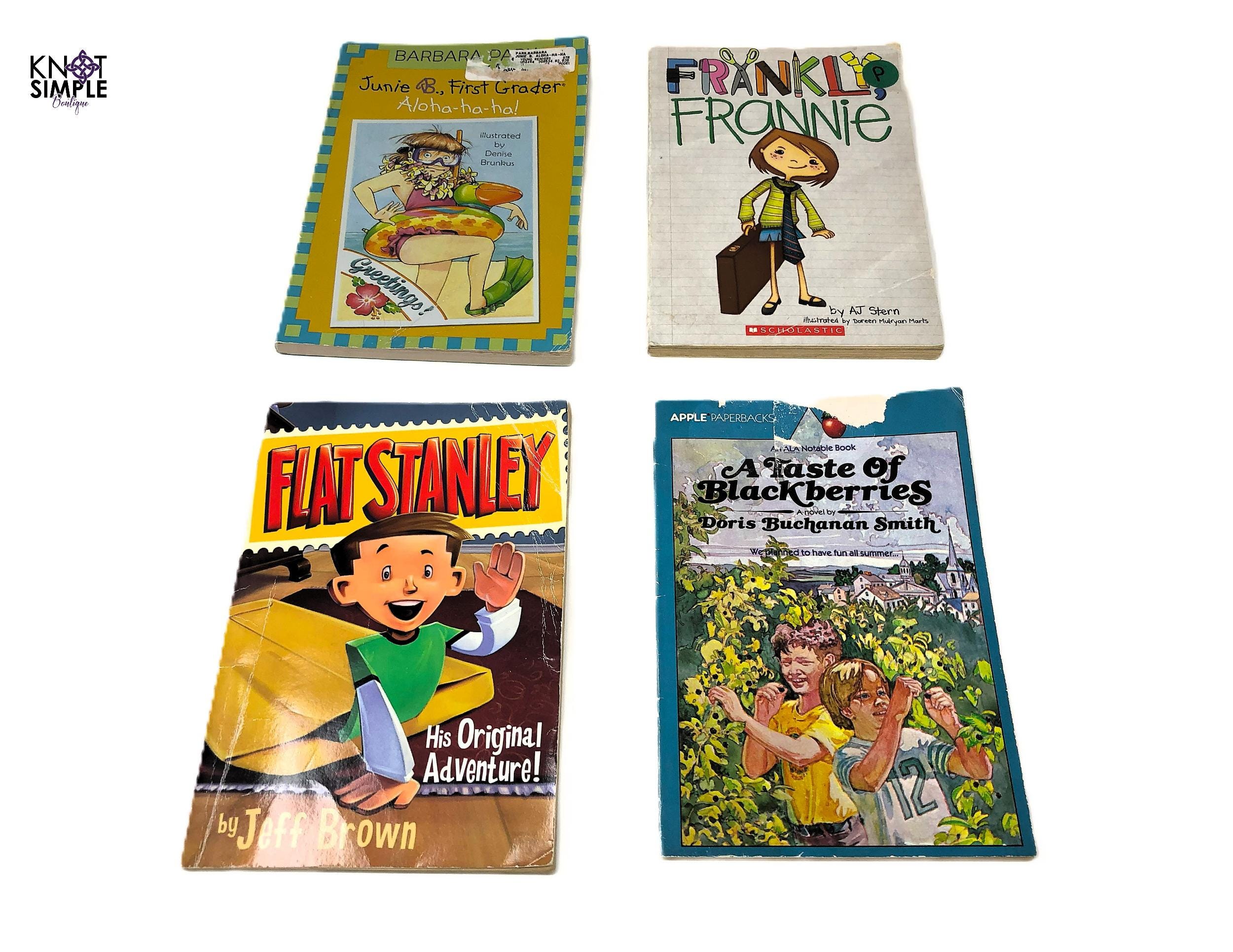 4-pack Children's Novel Collection: Diverse Stories for Young Readers ...