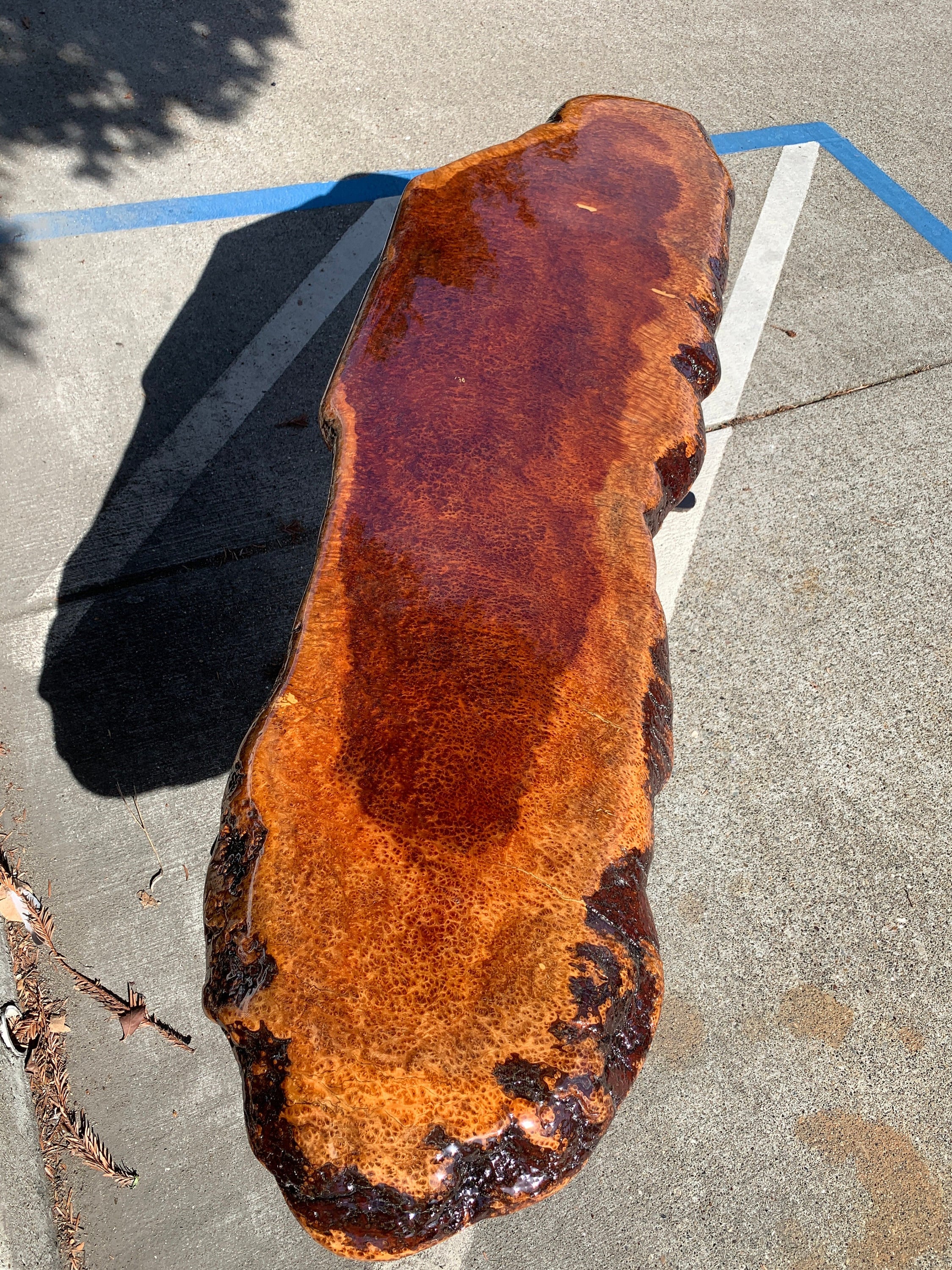 Live Edge Burl Table, Bird's Eye Grain, Burl Table, Redwood Burl Coffee ...