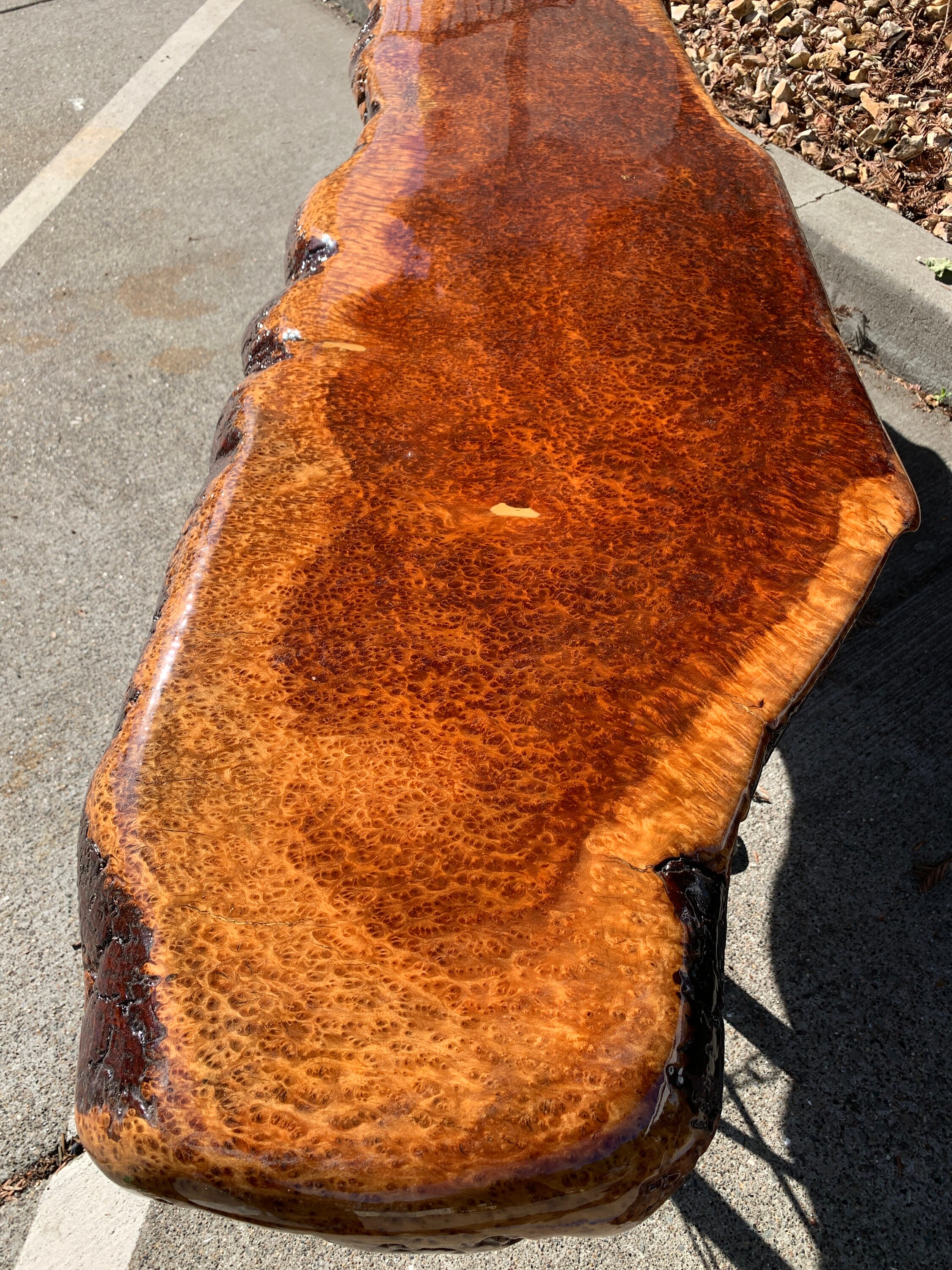 Live Edge Burl Table, Bird's Eye Grain, Burl Table, Redwood Burl Coffee ...