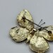 Butler and Wilson Butterfly Multicoloured Brooch Boxed - Etsy