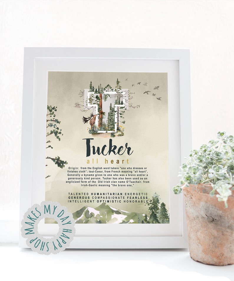 Aiden Personalized Name meaningCustom Printable Name Wall | Etsy