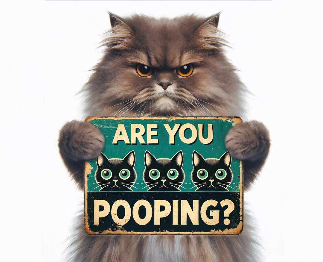Funny Cat Pooping Sign: Vintage Metal Bathroom Decor - Etsy