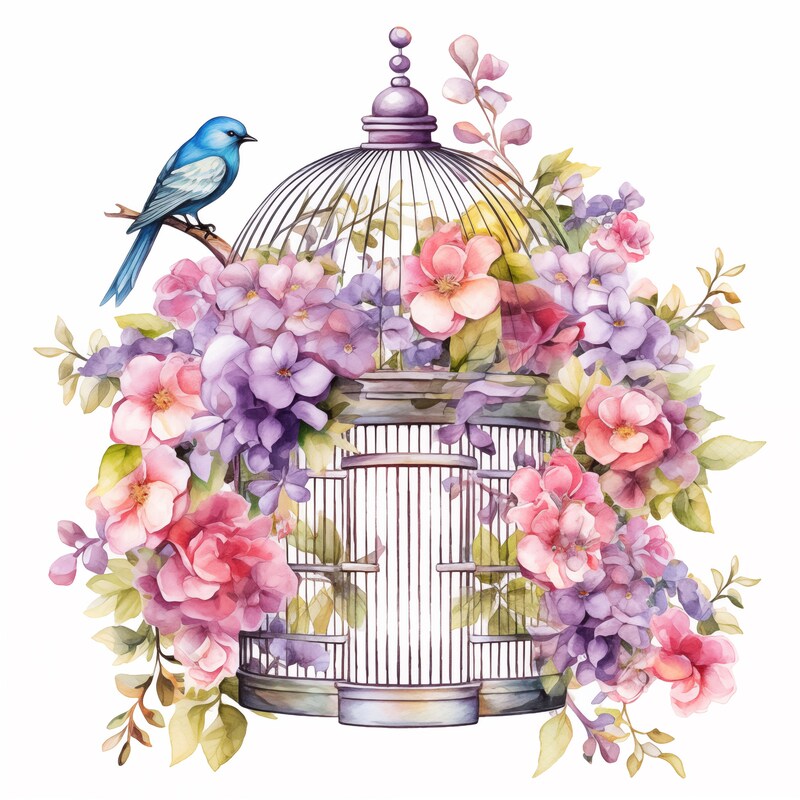 Bird Cage Print - Etsy