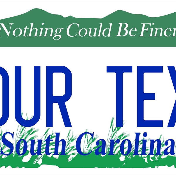 South Carolina License Plate - Etsy