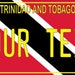 Trinidad and Tobago License Plate Personalized Custom ATV Mini | Etsy