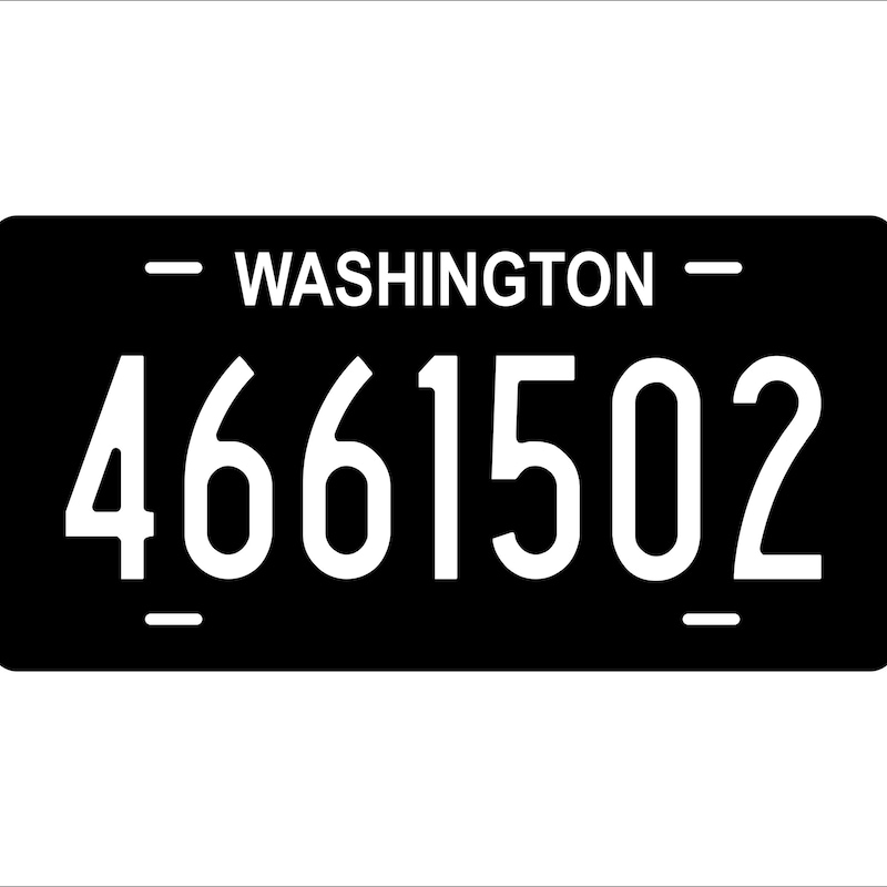 Souvenir Washington State Plates - Etsy