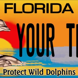 Florida Protect Wild Dolphins Custom Personalized Novelty ATV Moped ...