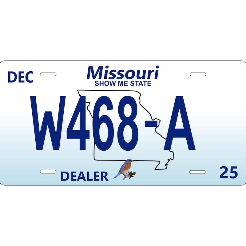 Souvenir Missouri Plate - Etsy