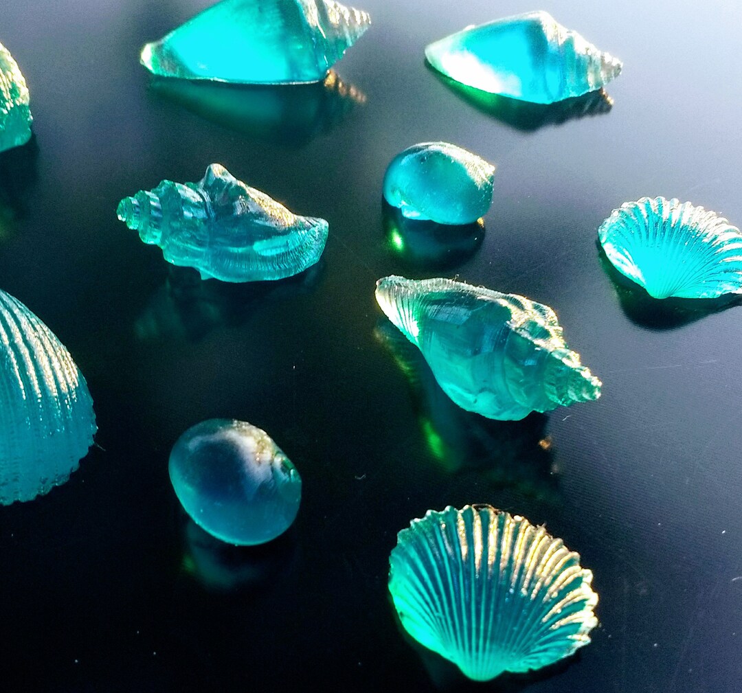 Sea Shell Decorations, Ocean or Beach Theme Shells for Plant Pot Decor ...