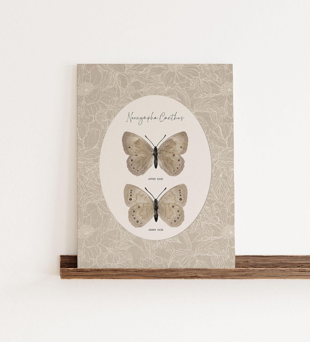 Vintage Butterfly Art Print: Cottagecore Insect Poster (digital ...