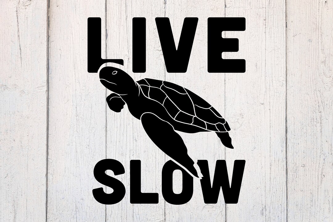 Turtle SVG. Slow Svg. Turtle Lover Svg. Turtle Owner Svg. Ocean Svg ...