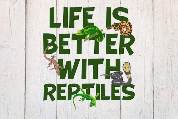 Reptiles Svg Lizard Svg Gecko Svg Snake Svg Reptiles Cut - Etsy