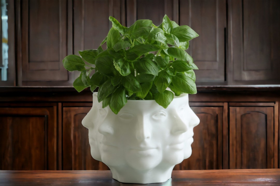 Multi-face Polyface Planter: Unique 3d-printed Planter With Drainage ...