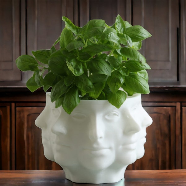 Multi Face Planter - Etsy