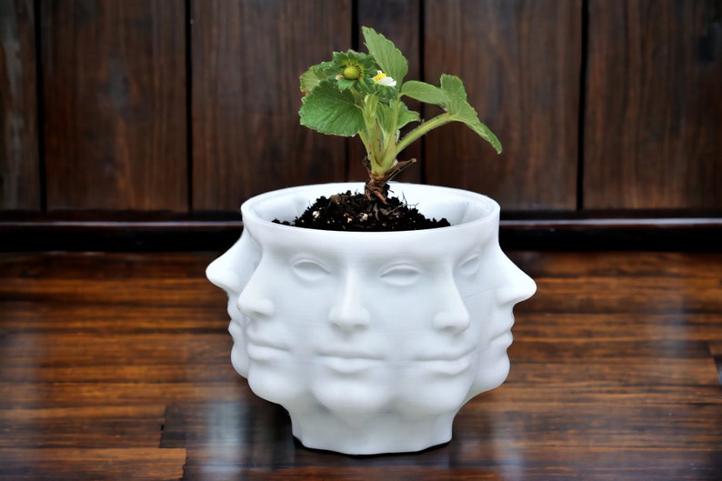 Multi-face Polyface Planter Unique 3d-printed Planter With Drainage for ...