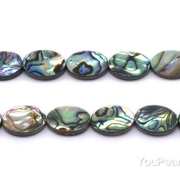 Paua Shell - Etsy